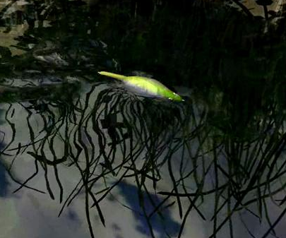 Tips and Techniques - Floating Minnows - Bassmaster