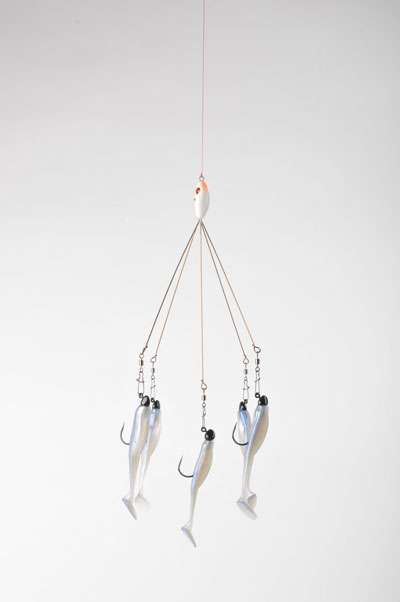 Alabama rig: States differ - Bassmaster