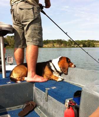 Furry fishing buddies - Bassmaster