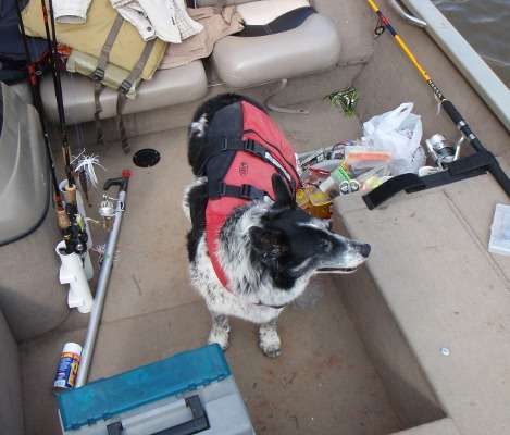 Furry fishing buddies - Bassmaster