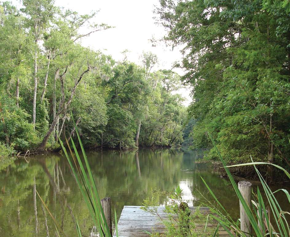 Alabama’s Mobile-Tensaw River Delta - Bassmaster