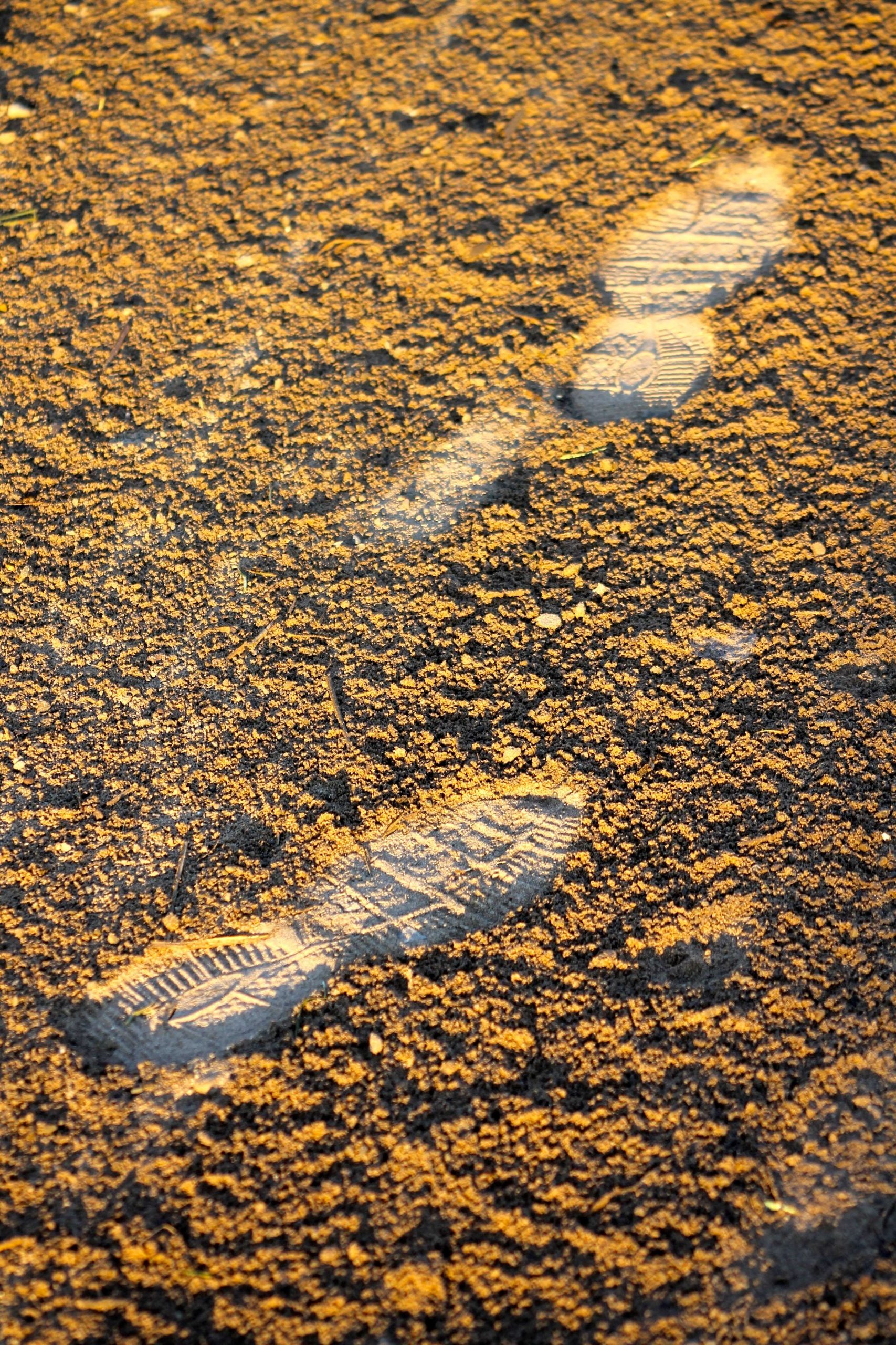 Footsteps - Bassmaster