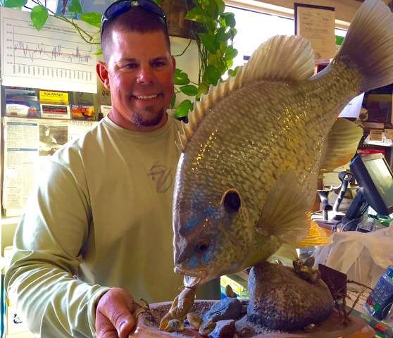 Lake Havasu’s world record redear is a monster - Bassmaster