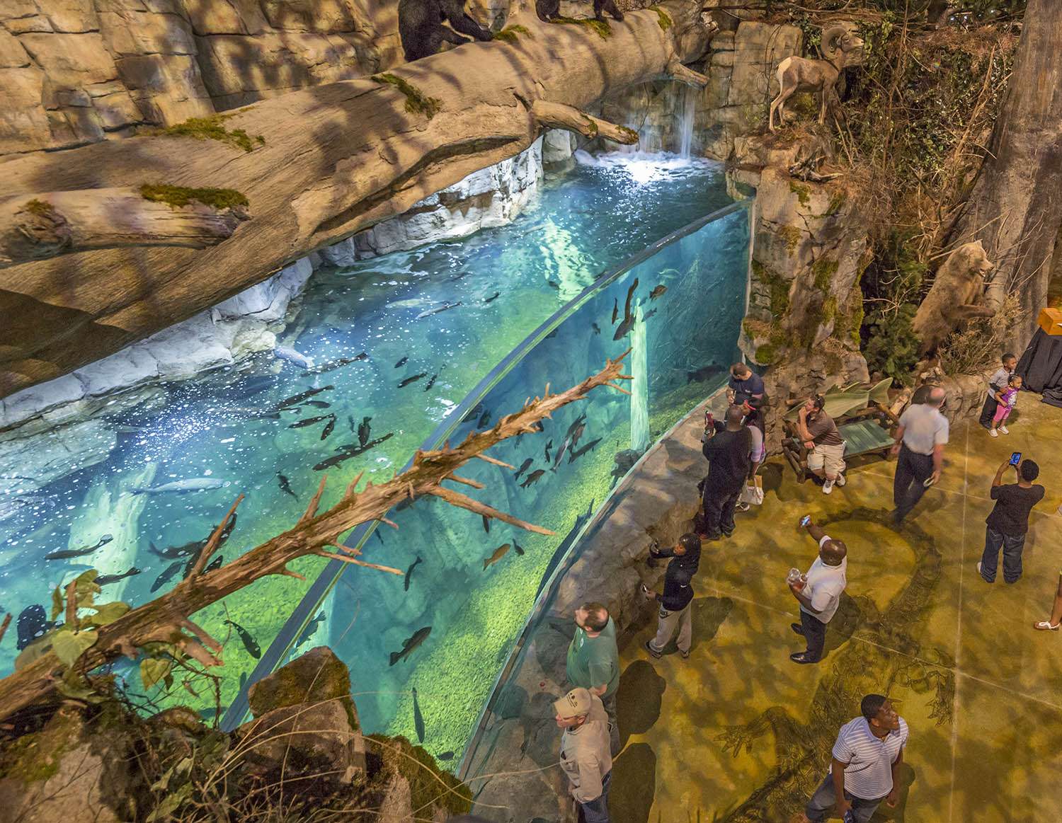 Bass Pro Shops' Memphis Pyramid - Bassmaster