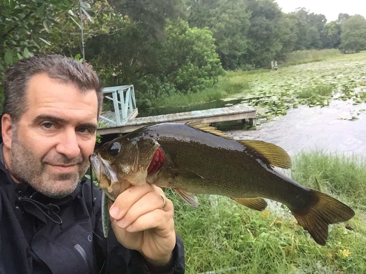 Gear Review: Daiwa Tatula Cork Bass Rods - Bassmaster