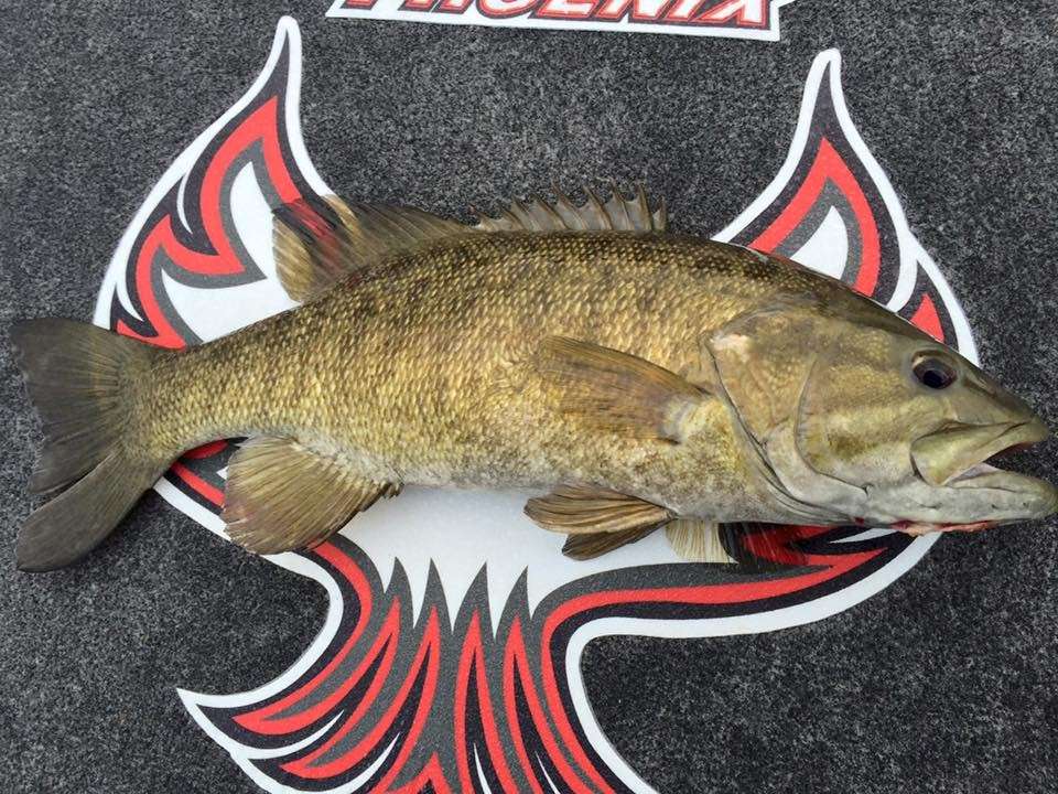 Cherokee Lake practice gallery - Bassmaster