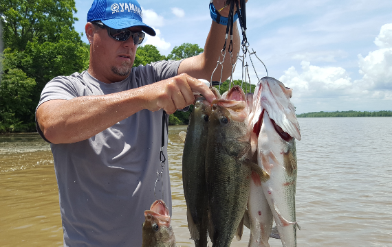 Marshals: Day 1 Lake Dardenelle - Bassmaster