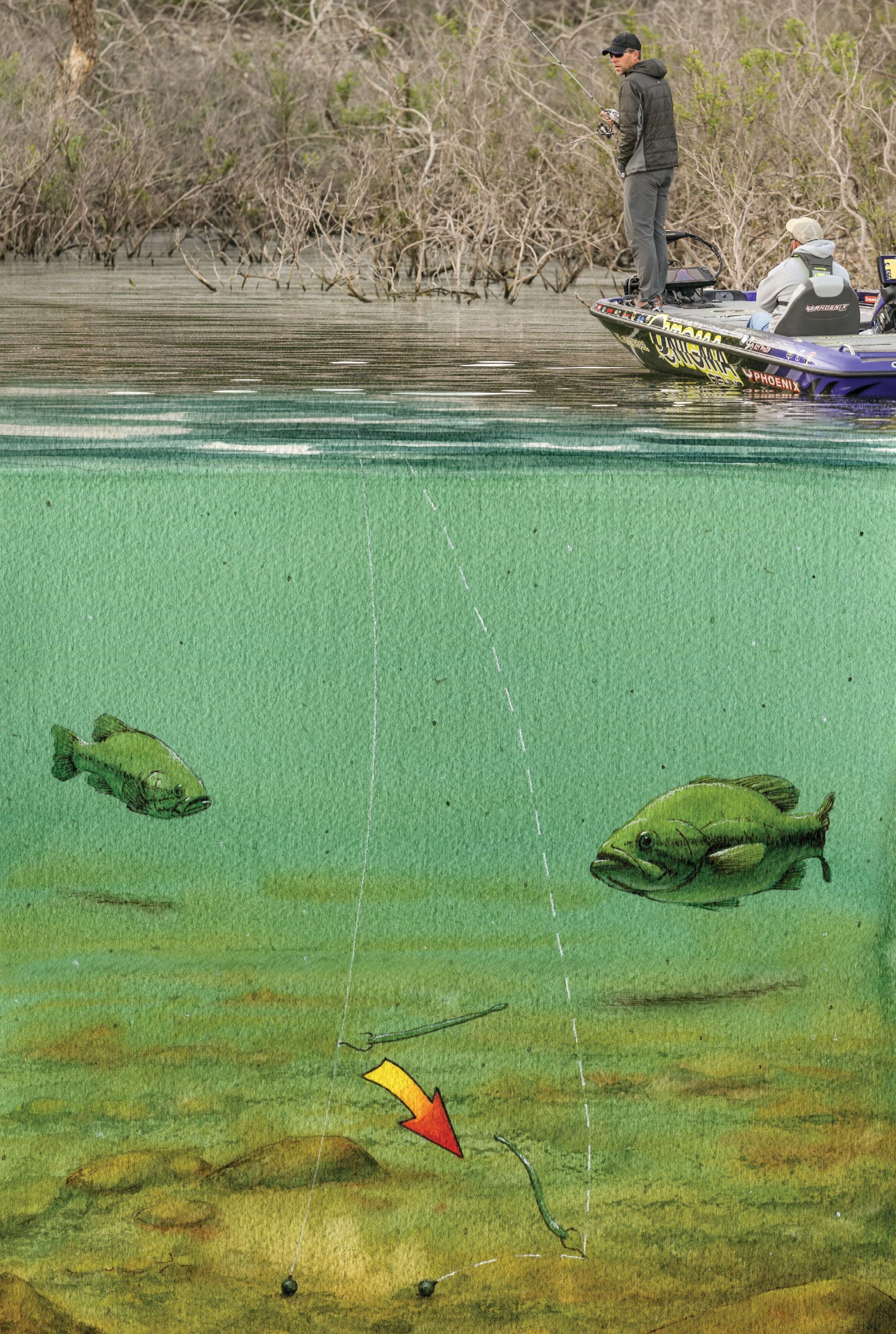 5 must-know drop shot tactics - Bassmaster