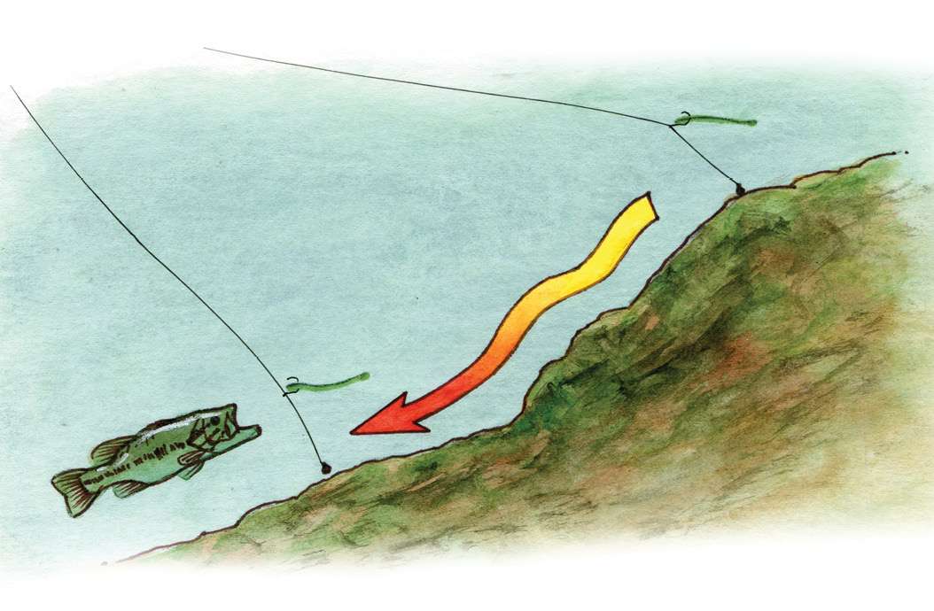 5 must-know drop shot tactics - Bassmaster