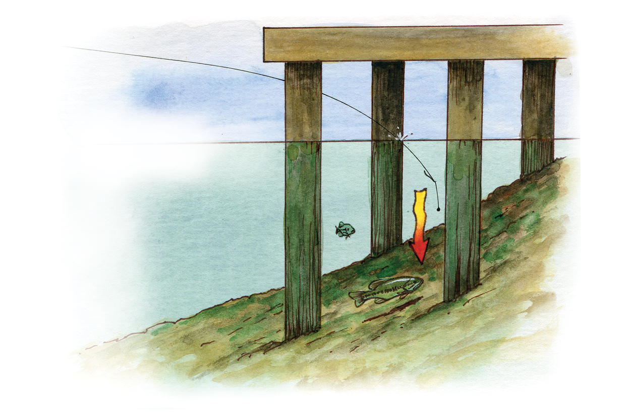 5 must-know drop shot tactics - Bassmaster