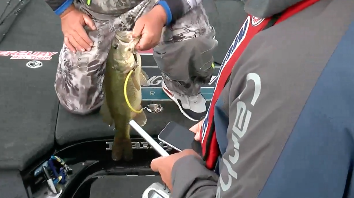 LIVE: Powroznik catches a cull-clipped bass - Bassmaster