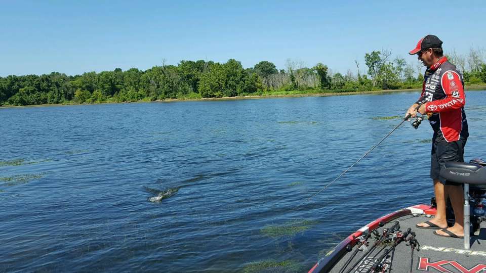 KVD's 6-season bass guide - Bassmaster