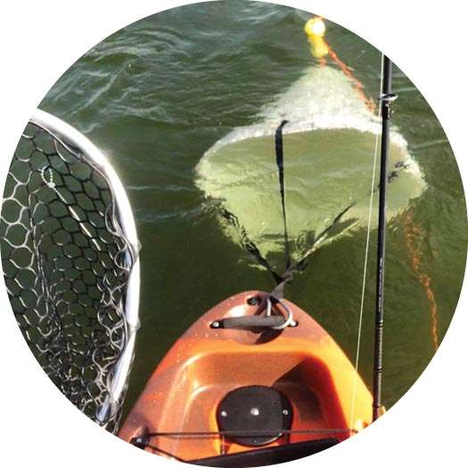 Kayak drift anchor control - Bassmaster
