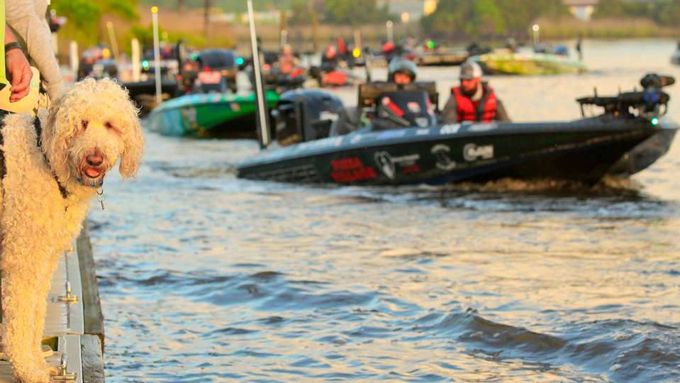 Day 2 begins on Winyah - Bassmaster