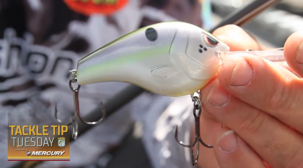 Tackle Tip: Fishing creeks during fall transition - Bassmaster