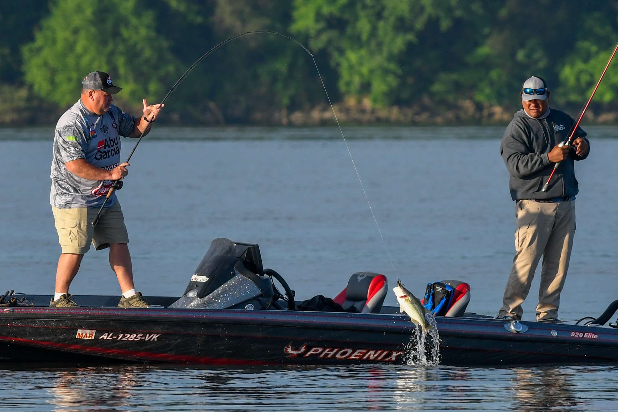 Shad spawn a bust? - Bassmaster