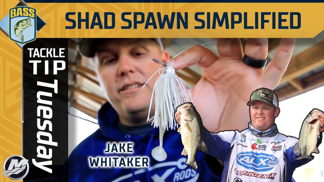 Tackle Tip Tuesday: Simplifying shad spawn - Bassmaster