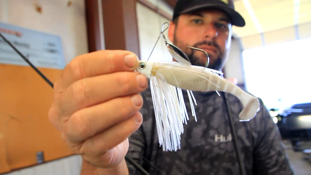 Tackle Tip Tuesday: Focus on birds for early shad spawn success ...
