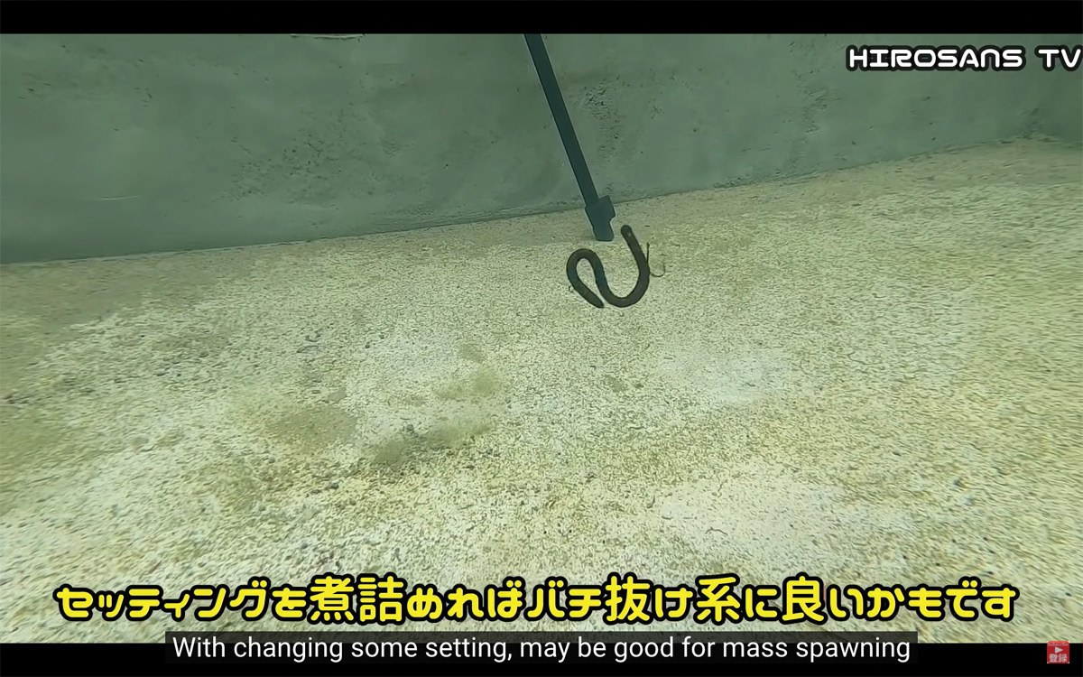 Introducing the Inu - Bassmaster