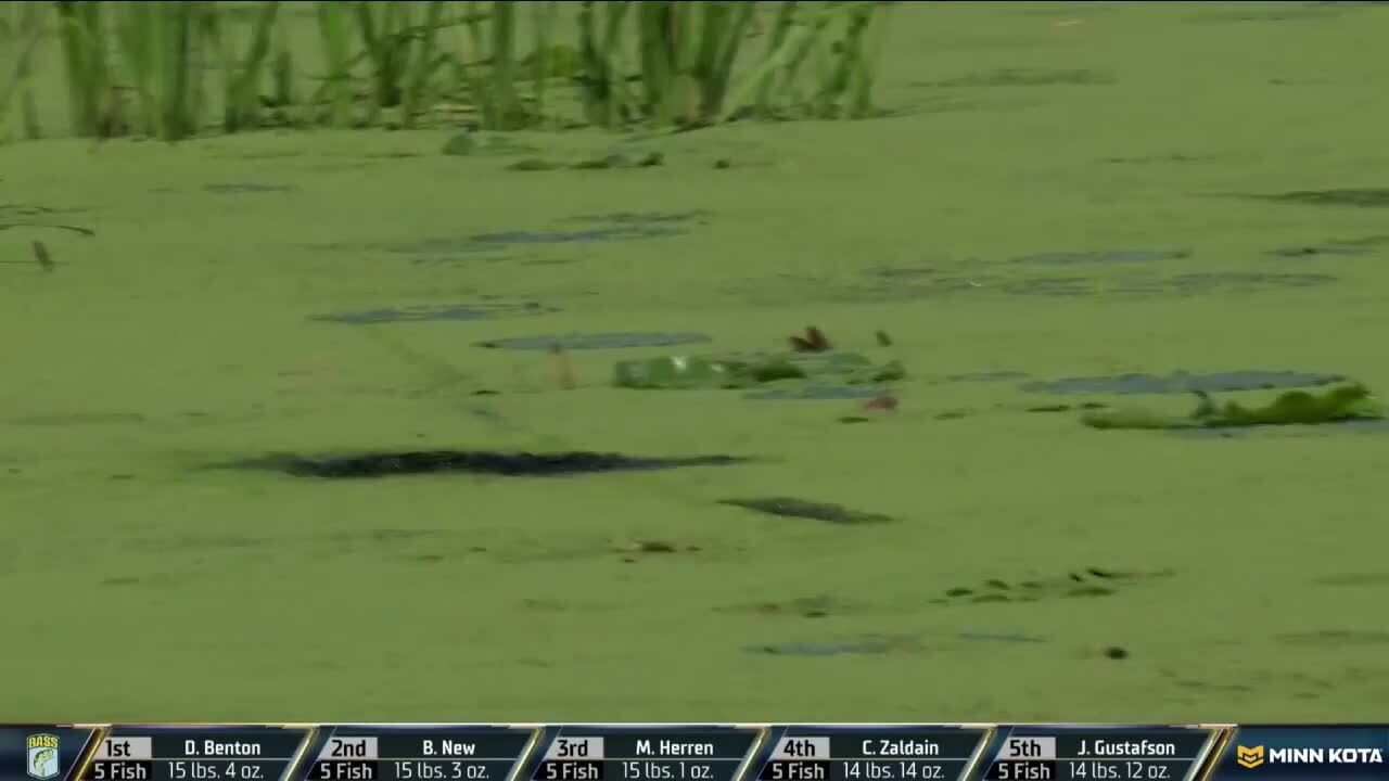 Shryock Culling - Bassmaster