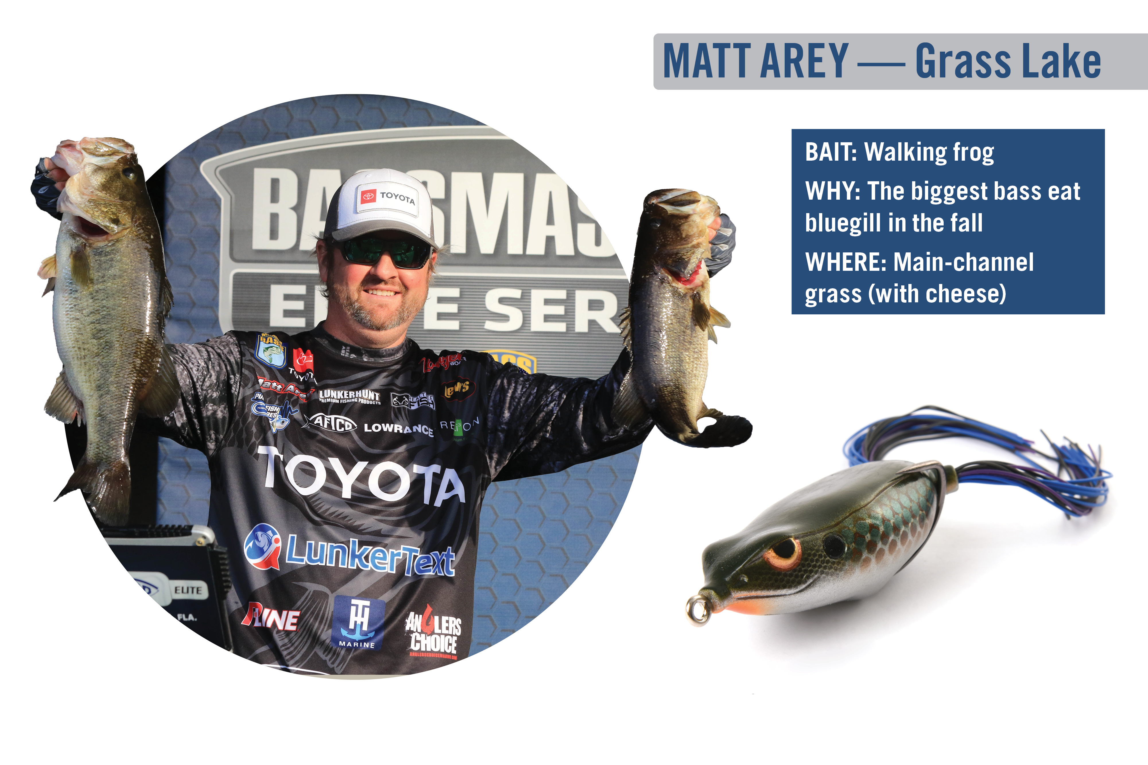 Land of Giants: Targeting fall fatties - Bassmaster