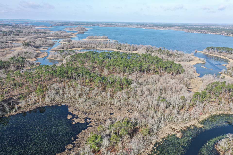 Aerial view of Seminole's B.A.S.S. history and habitat - Bassmaster