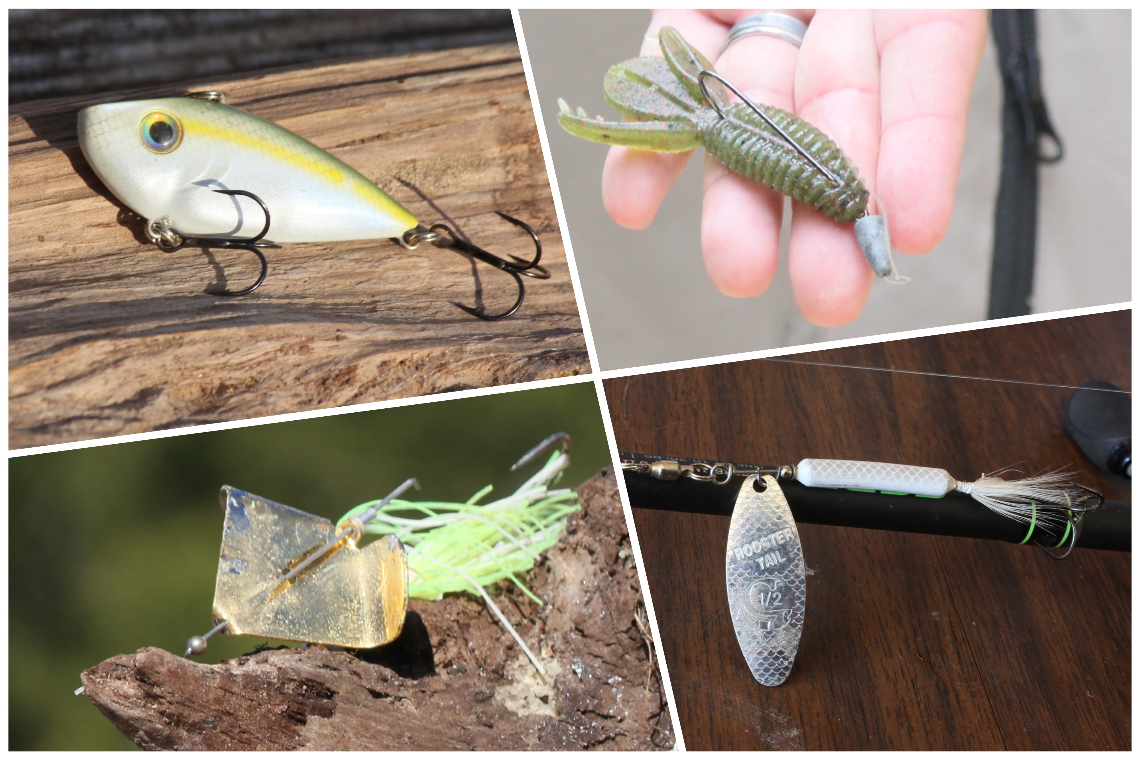 Bank Fishing Basics: What should go into a bank fishing tacklebox ...