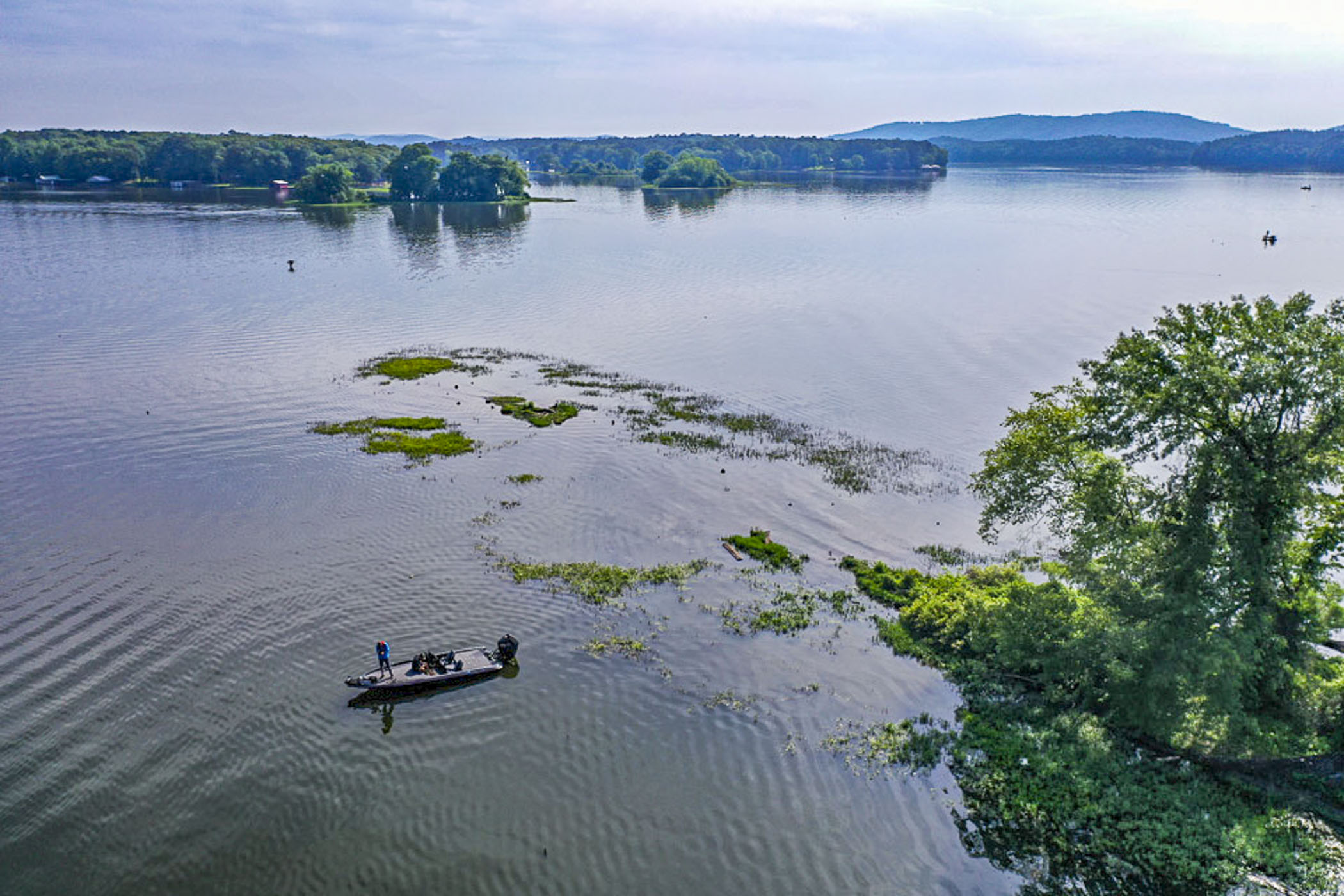 Dock Talk: Lay Lake - Bassmaster