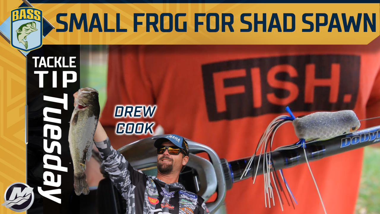Tackle Tip Tuesday: Mimicking small baitfish with tiny topwaters during ...