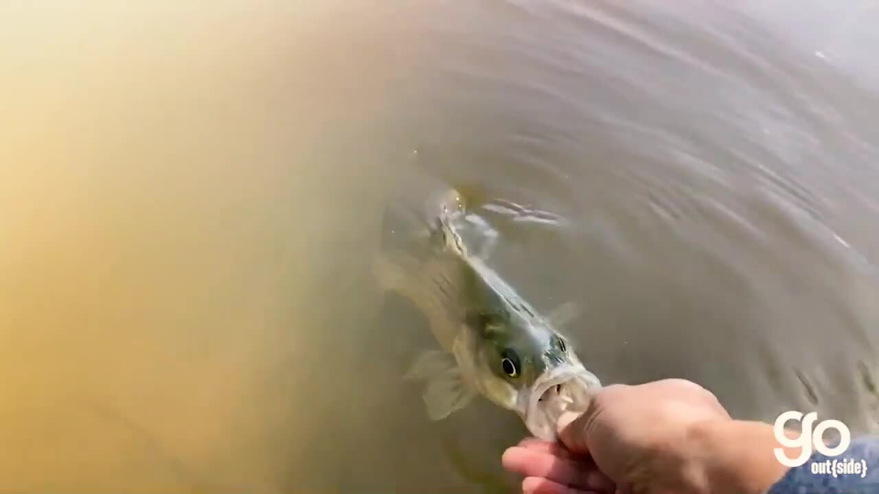 Catching White Bass with Kara Moss - Bassmaster