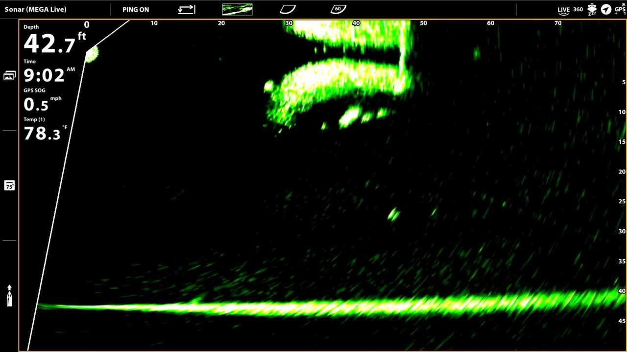 Zona's settings for MEGA Live - Bassmaster