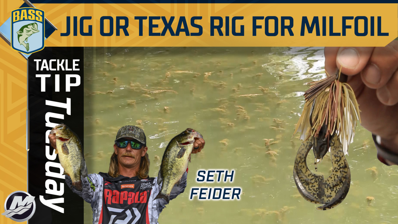 Tackle Tip Tuesday: Feider on flipping grass – Texas rig vs. jig ...