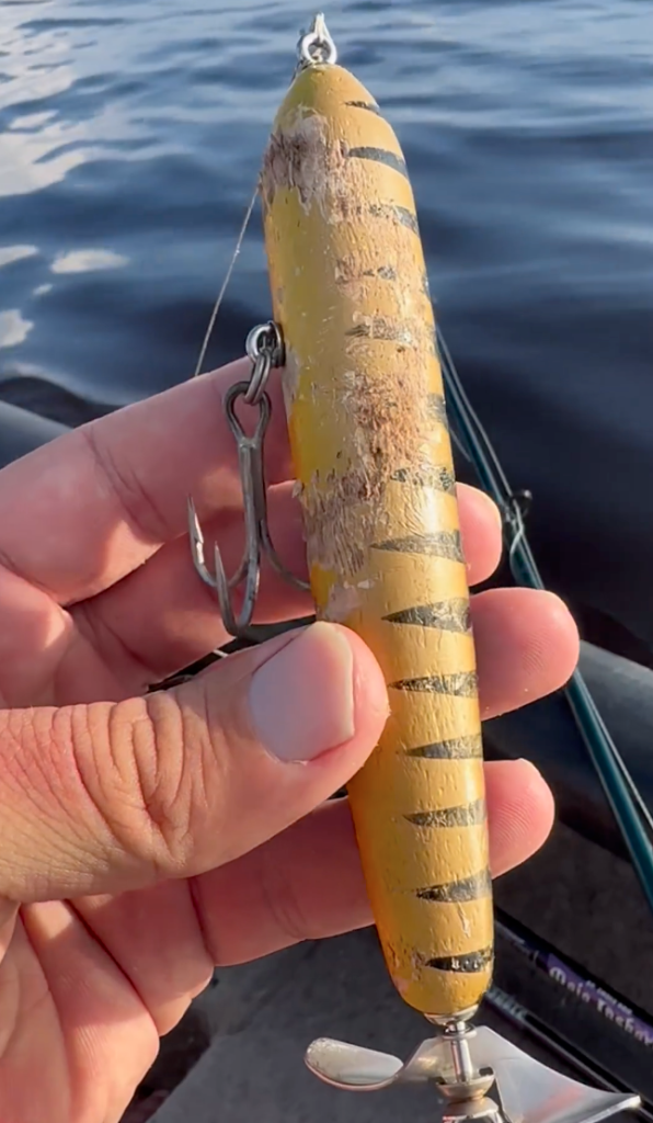 Livesay's awesome Amazon fishing adventure - Bassmaster