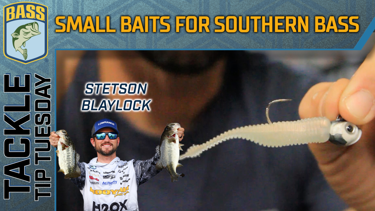 Tackle Tip Tuesday: Targeting deep winter bass with small baits ...