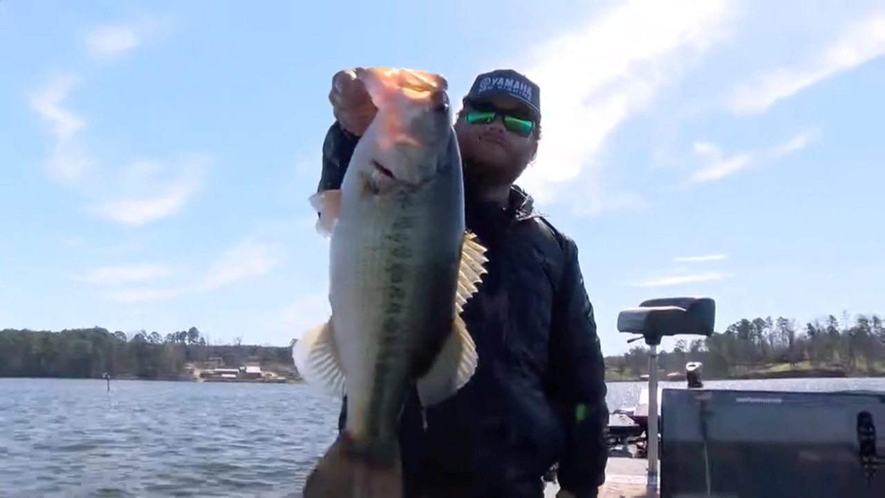 Robert Gee lands a 6-8 pounder and moves into second place - Bassmaster