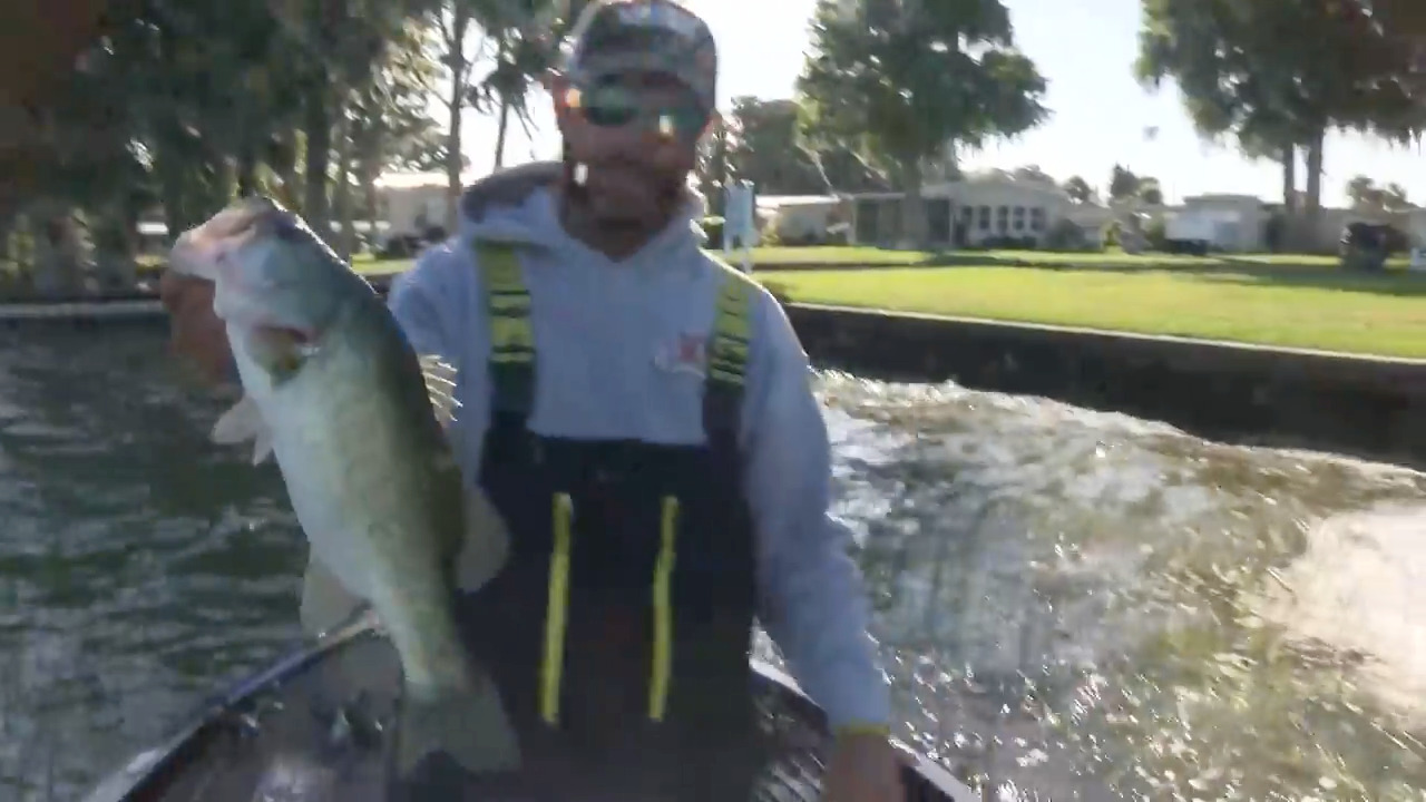 Lester making the most of the shad spawn - Bassmaster