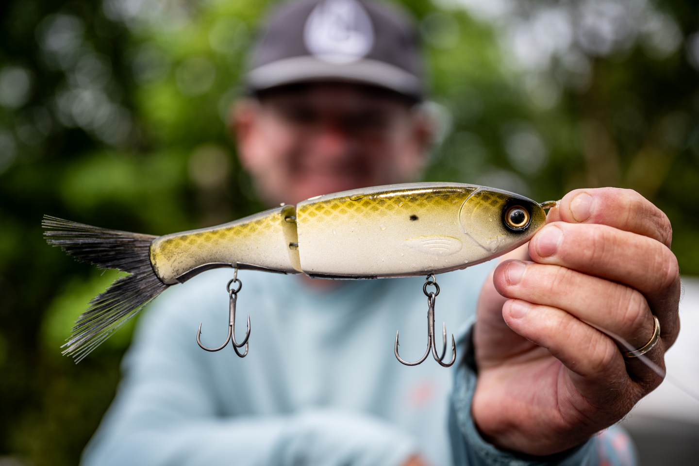 Must-have Blueback Herring baits - Bassmaster
