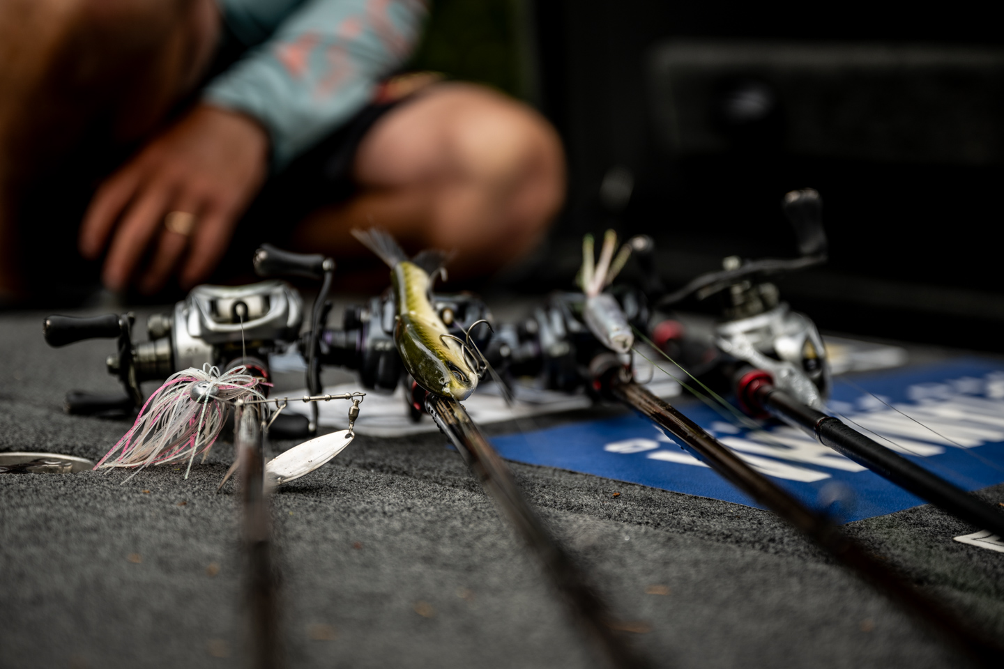 Must-have Blueback Herring baits - Bassmaster