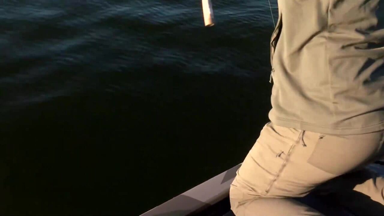 Patrick Walters starts Day 2 with a 3-pounder - Bassmaster