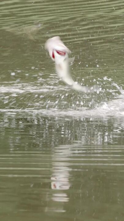On the water with Randy Moss - Bassmaster