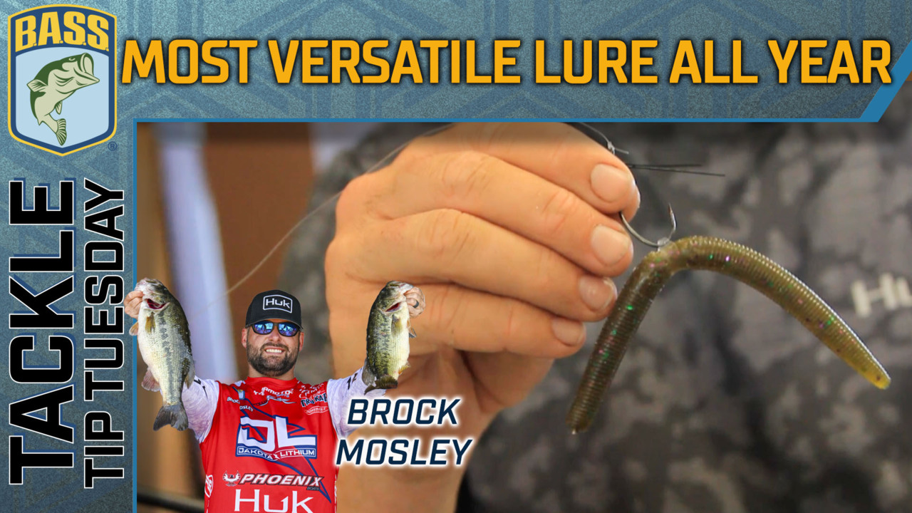 Tackle Tip Tuesday: Quickly change with this versatile lure - Bassmaster