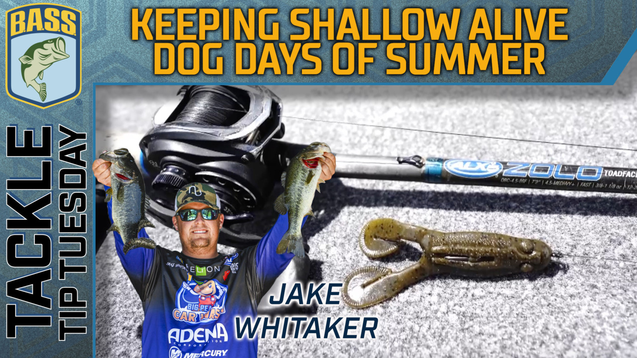 Tackle Tip Tuesday: Shallows still produce in dog days of summer ...