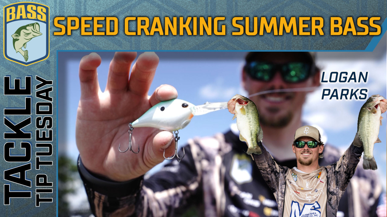 Tackle Tip Tuesday: Summer speed cranking with Logan Parks - Bassmaster