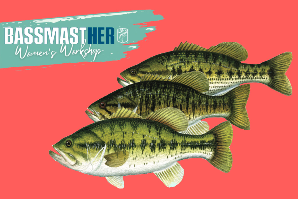 Lesson 1: Different species of bass - Bassmaster