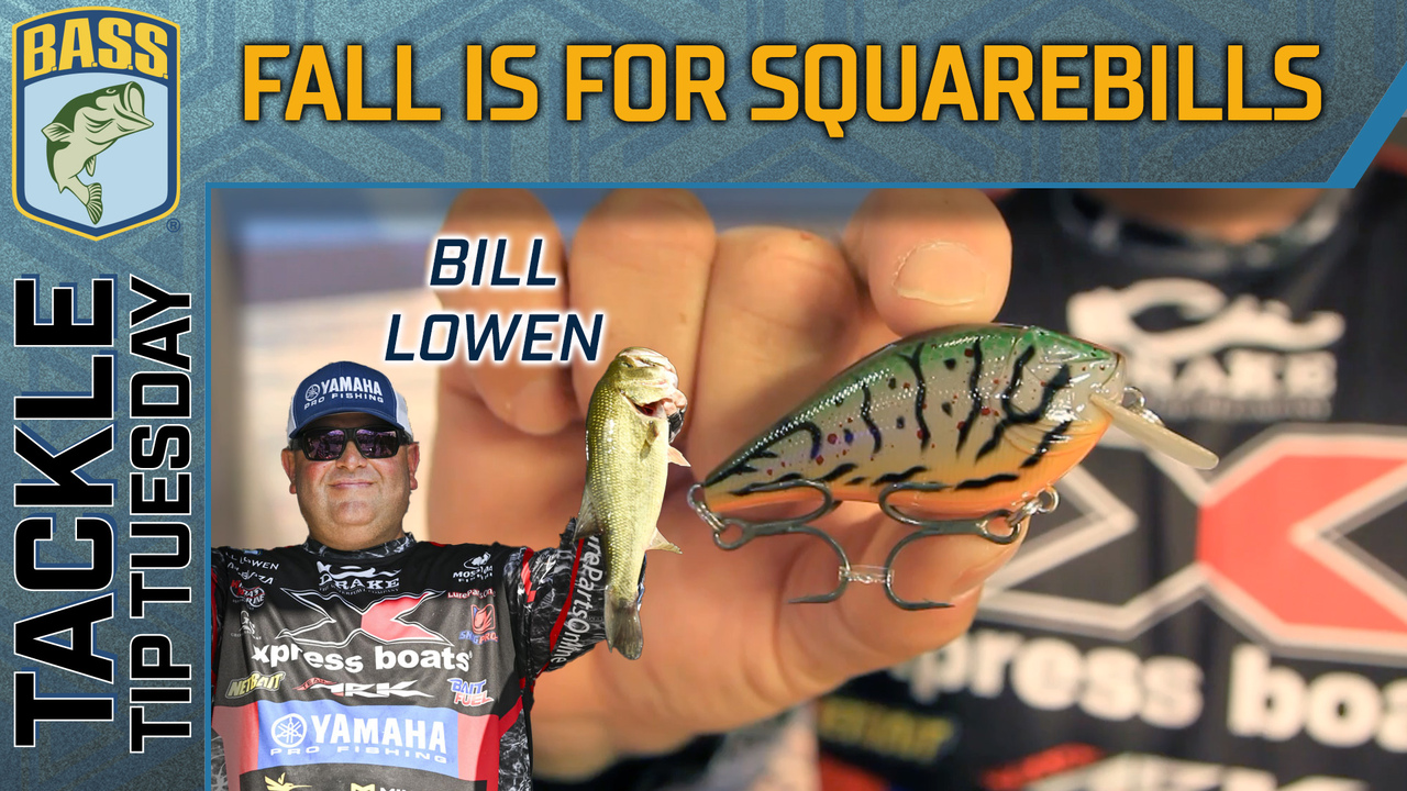 Tackle Tip Tuesday: Key crankbait colors for fall fishing - Bassmaster