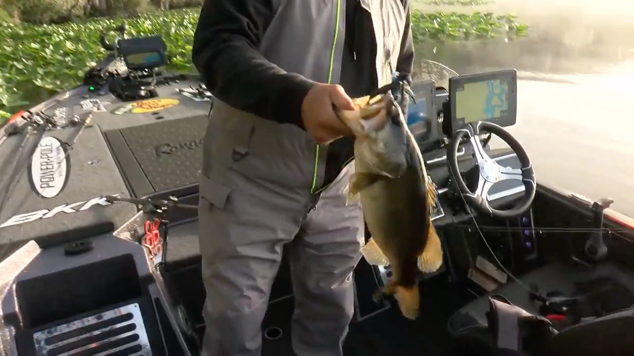 Swim jig adds a 2nd keeper for Johnston - Bassmaster