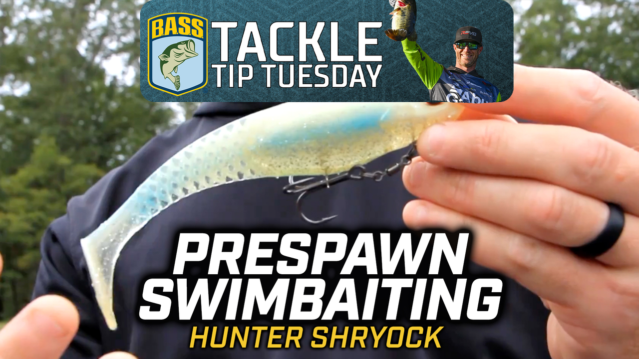 Tackle Tip Tuesday: Subbing in a swimbait in the prespawn - Bassmaster