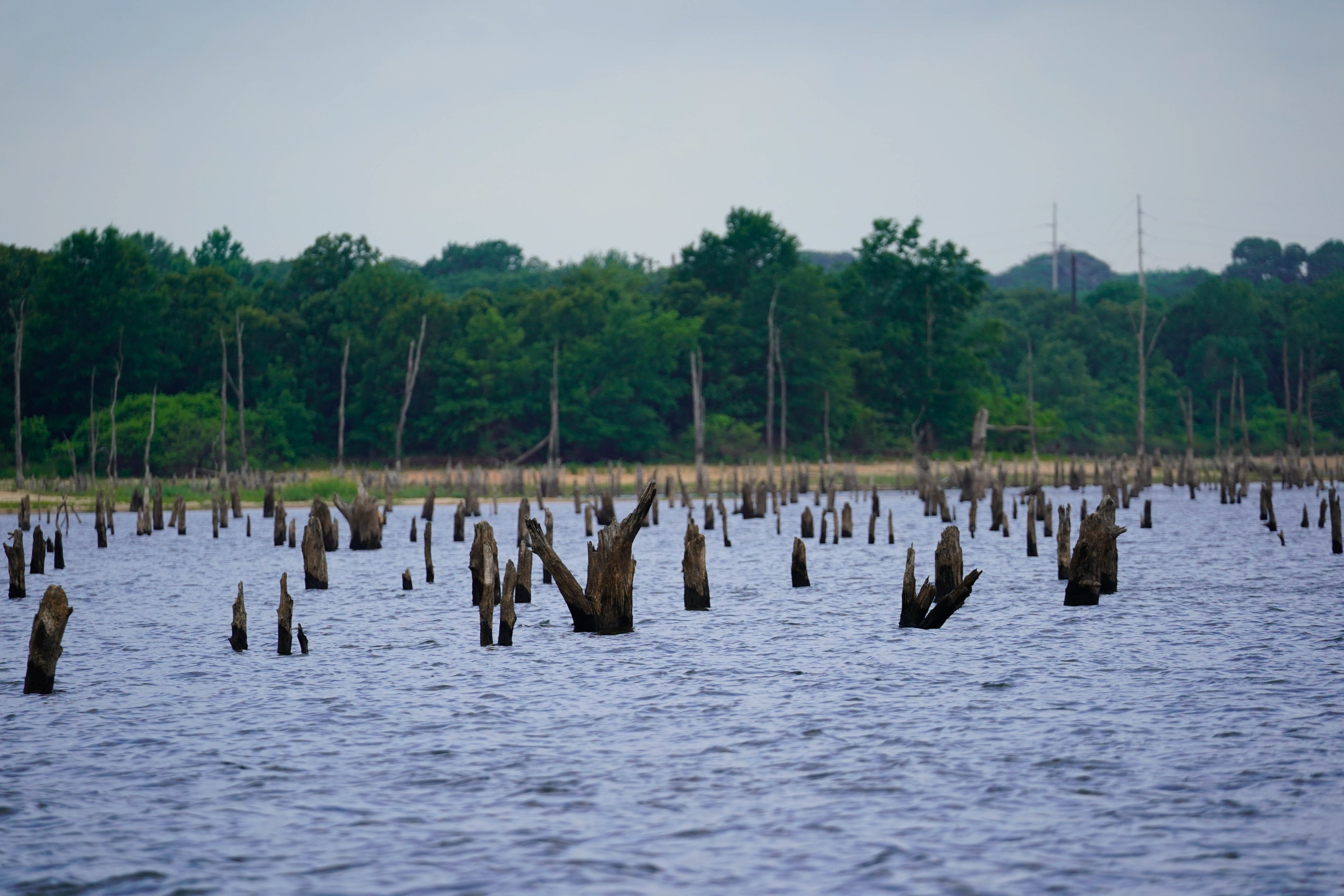 Lake Fork offers tremendous potential for Bassmaster Elite field ...