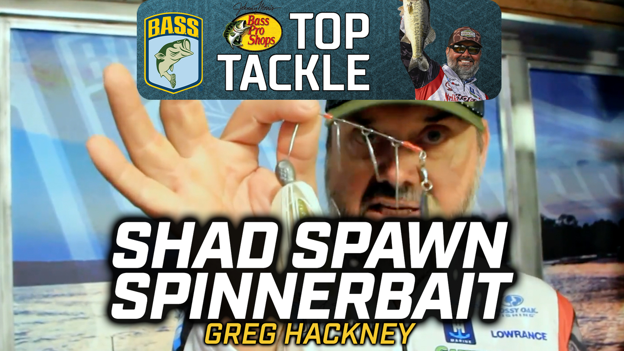Top Tackle: Shad spawn spinnerbait essentials with Greg Hackney ...