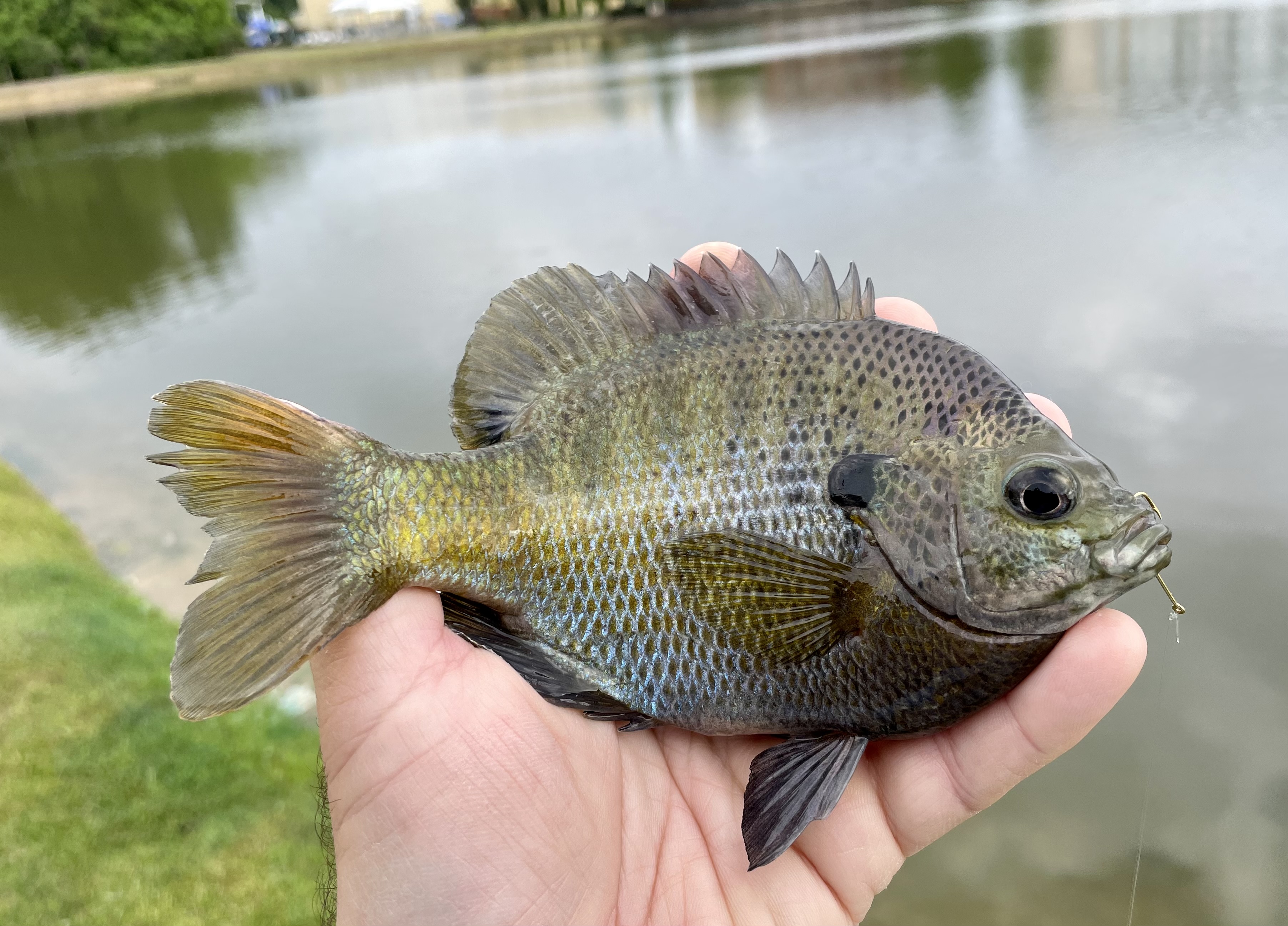 Fishing kits offer instant readiness - Bassmaster